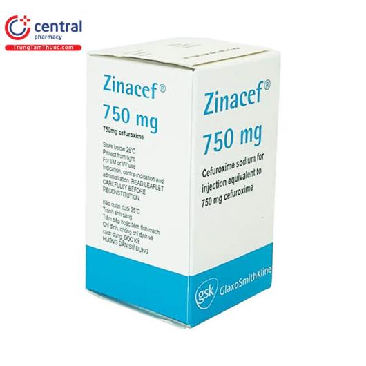 Thuốc Zinacef 750mg - Thuốc kháng sinh tác dụng điều trị nhiễm khuẩn