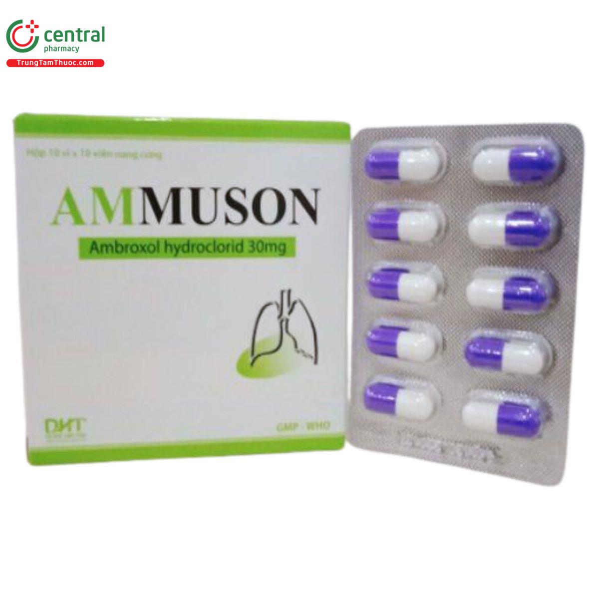 Thuốc Ammuson 30mg tác dụng tiêu nhầy trong bệnh lý liên quan đường hô hấp