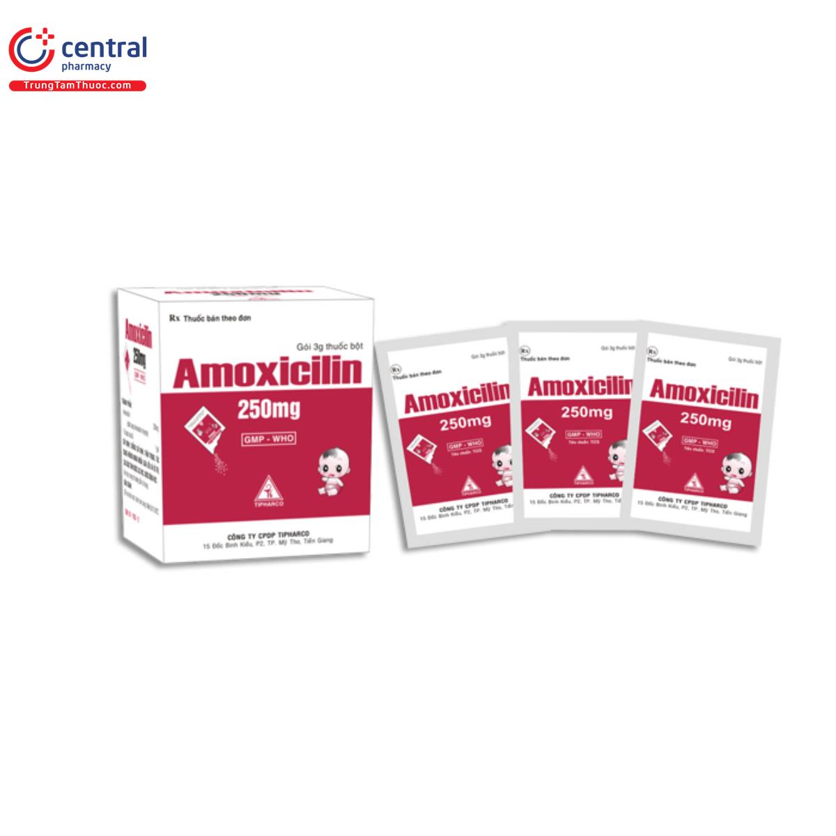 Thuốc bột Amoxicilin 250mg Tipharco (Hộp 20 gói x 3g) - Thuốc điều trị ...