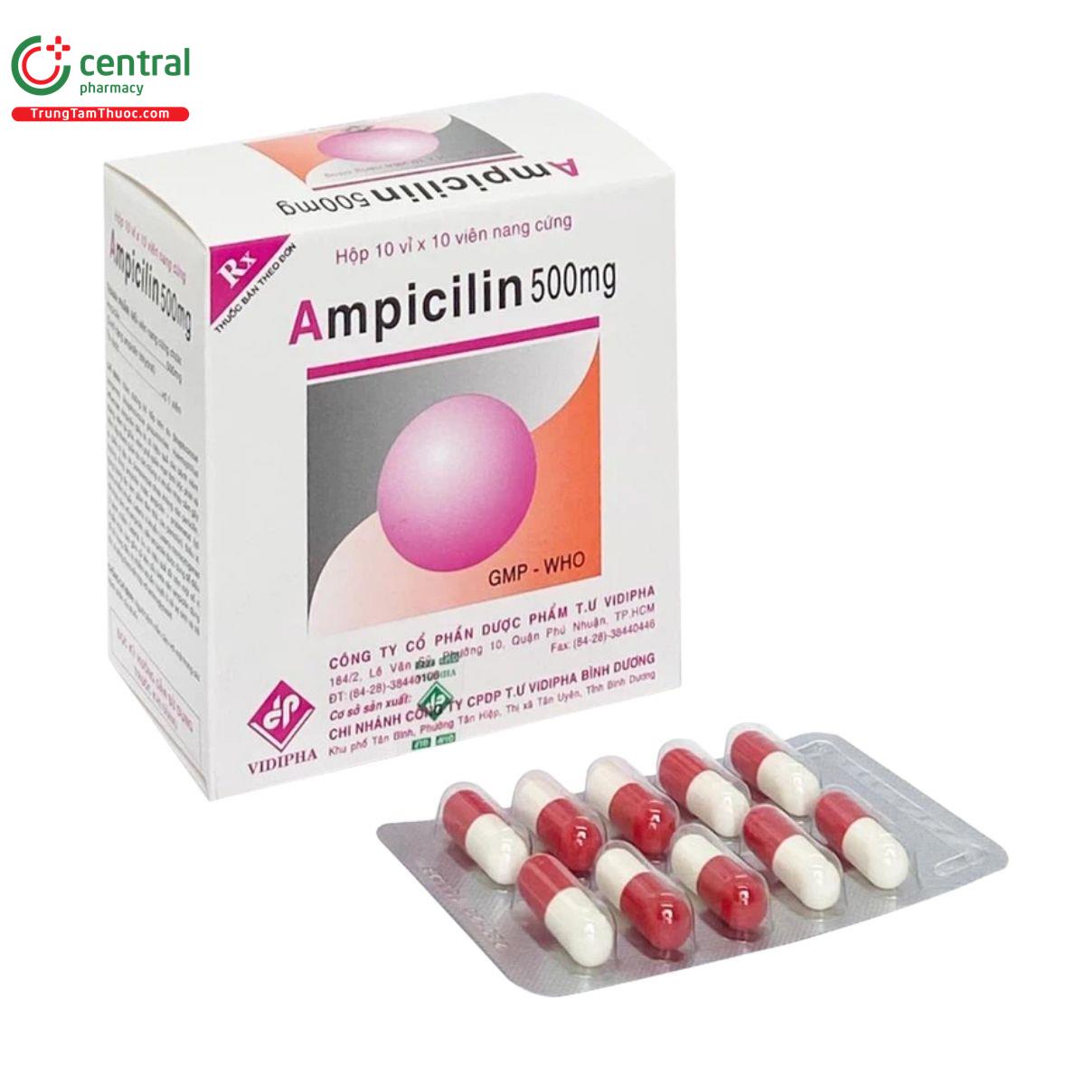 Thuốc Ampicilin 500mg Vidipha điều trị viêm đường hô hấp trên