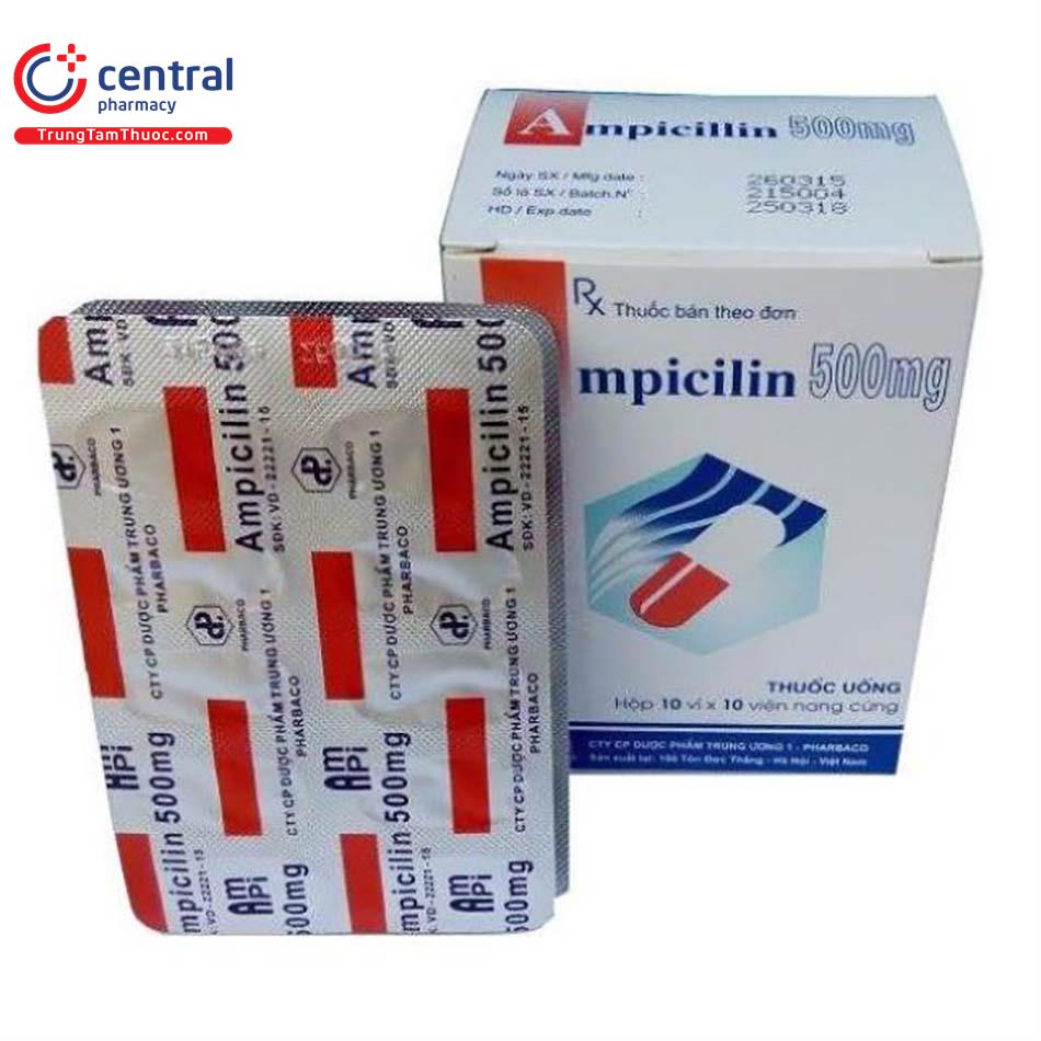 [CHÍNH HÃNG] Thuốc Ampicillin 500mg Pharbaco - điều trị nhiễm khuẩn