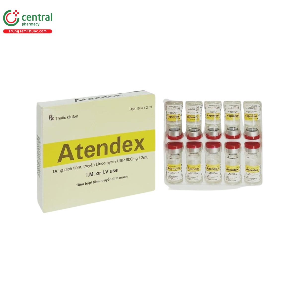 Thuốc Atendex 600mg/2ml điều trị nhiễm trùng nghiêm trọng hiệu quả