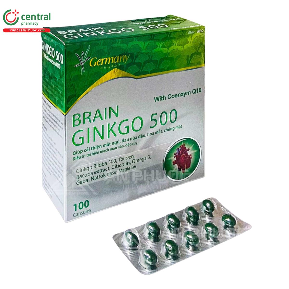 Thuốc Brain Ginkgo 500 hỗ trợ hoạt huyết, tăng cường tuần hoàn máu