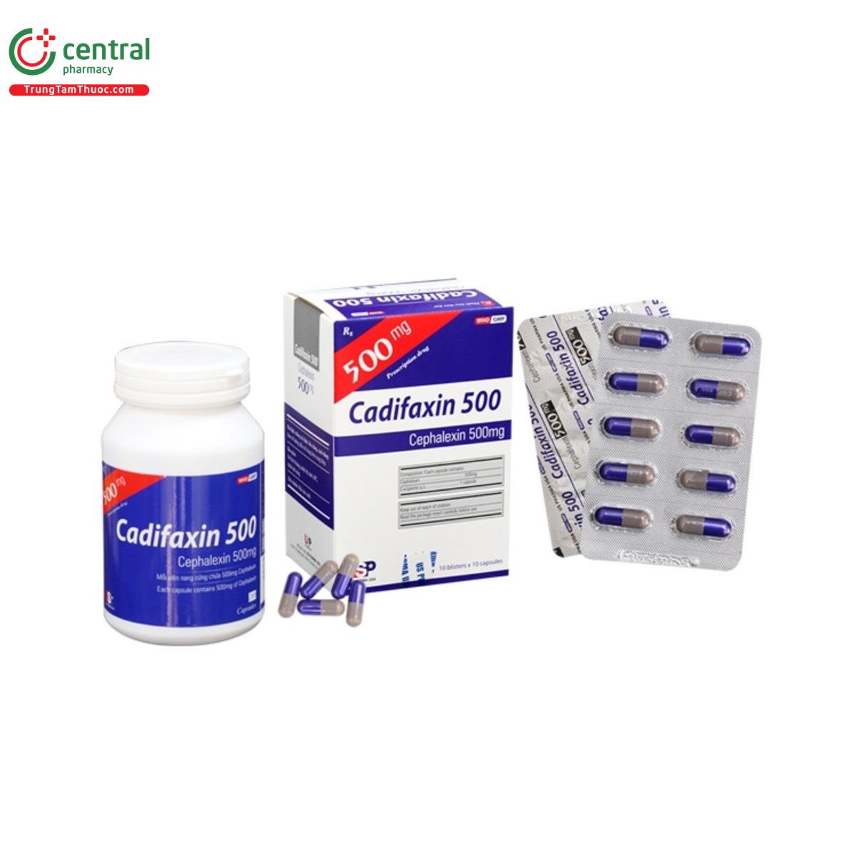 Thuốc Cadifaxin 500: Kháng sinh điều trị nhiễm trùng đường hô hấp