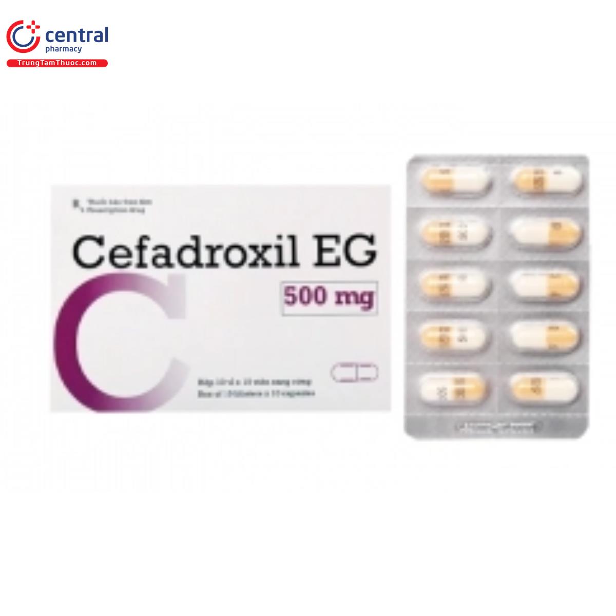 Thuốc Cefadroxil EG 500mg - Thuốc chỉ định trong điều trị nhiễm khuẩn