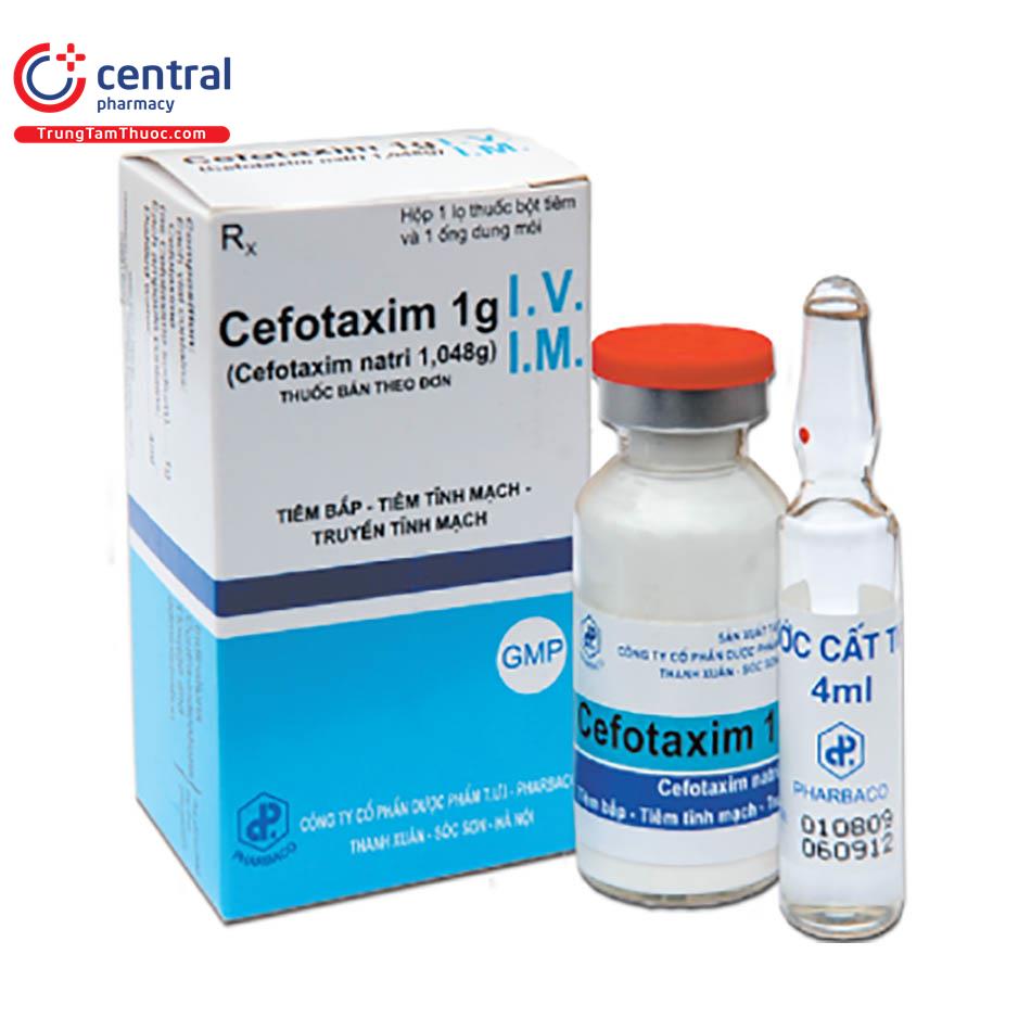 Thuốc Cefotaxim 1g TW1: tác dụng, liều dùng, lưu ý khi sử dụng