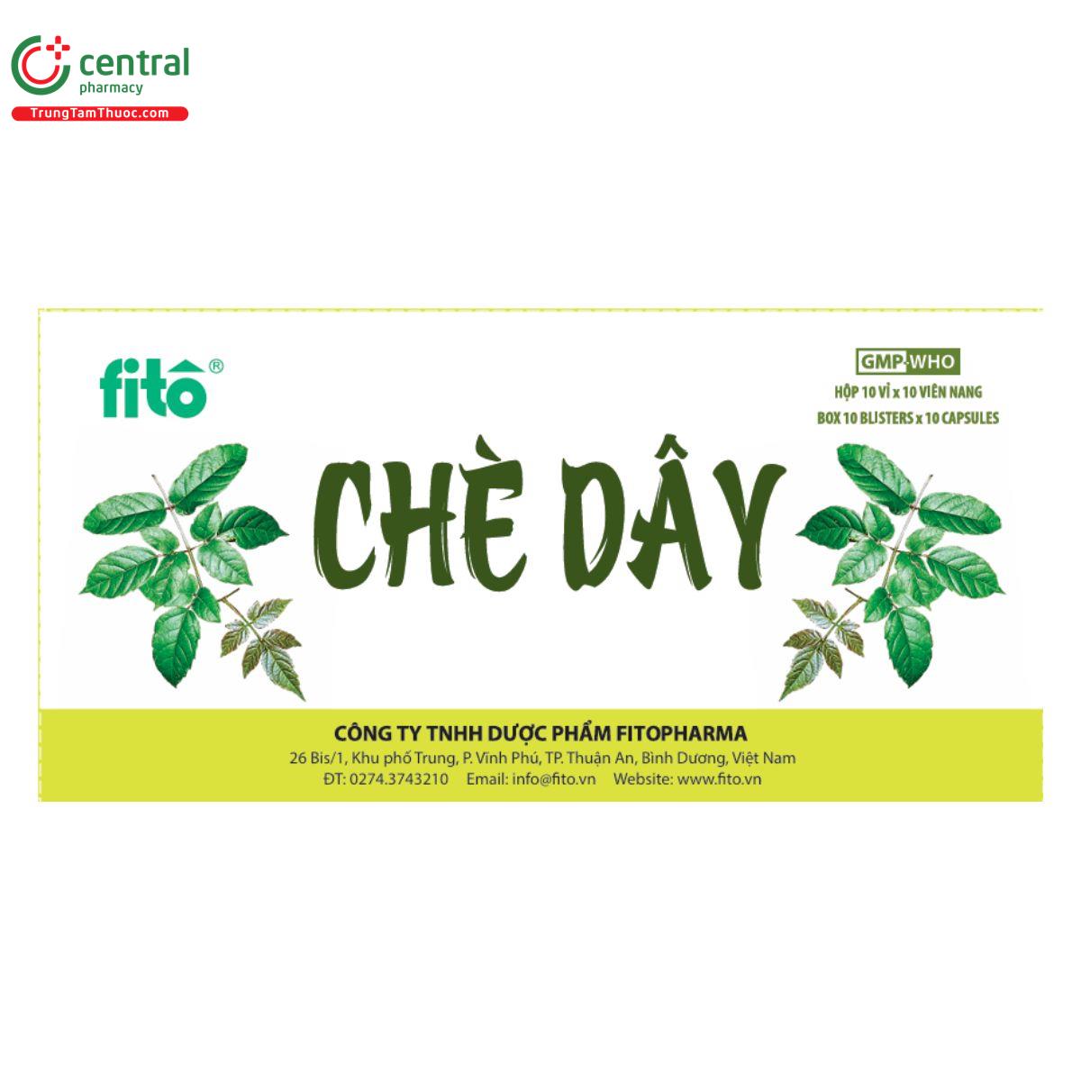 Thuốc Chè dây Fitô điều trị đau dạ dày tá tràng, tăng lành sẹo tiêu hóa