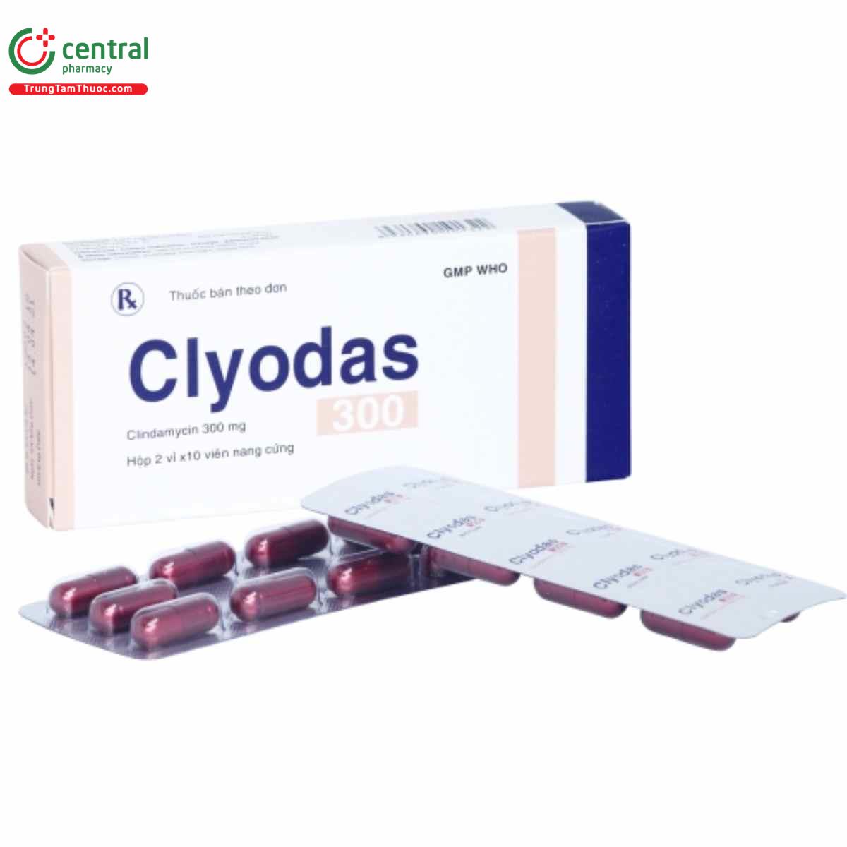 Thuốc Clyodas 300 điều trị nhiễm khuẩn các chủng nhạy cảm hiệu quả