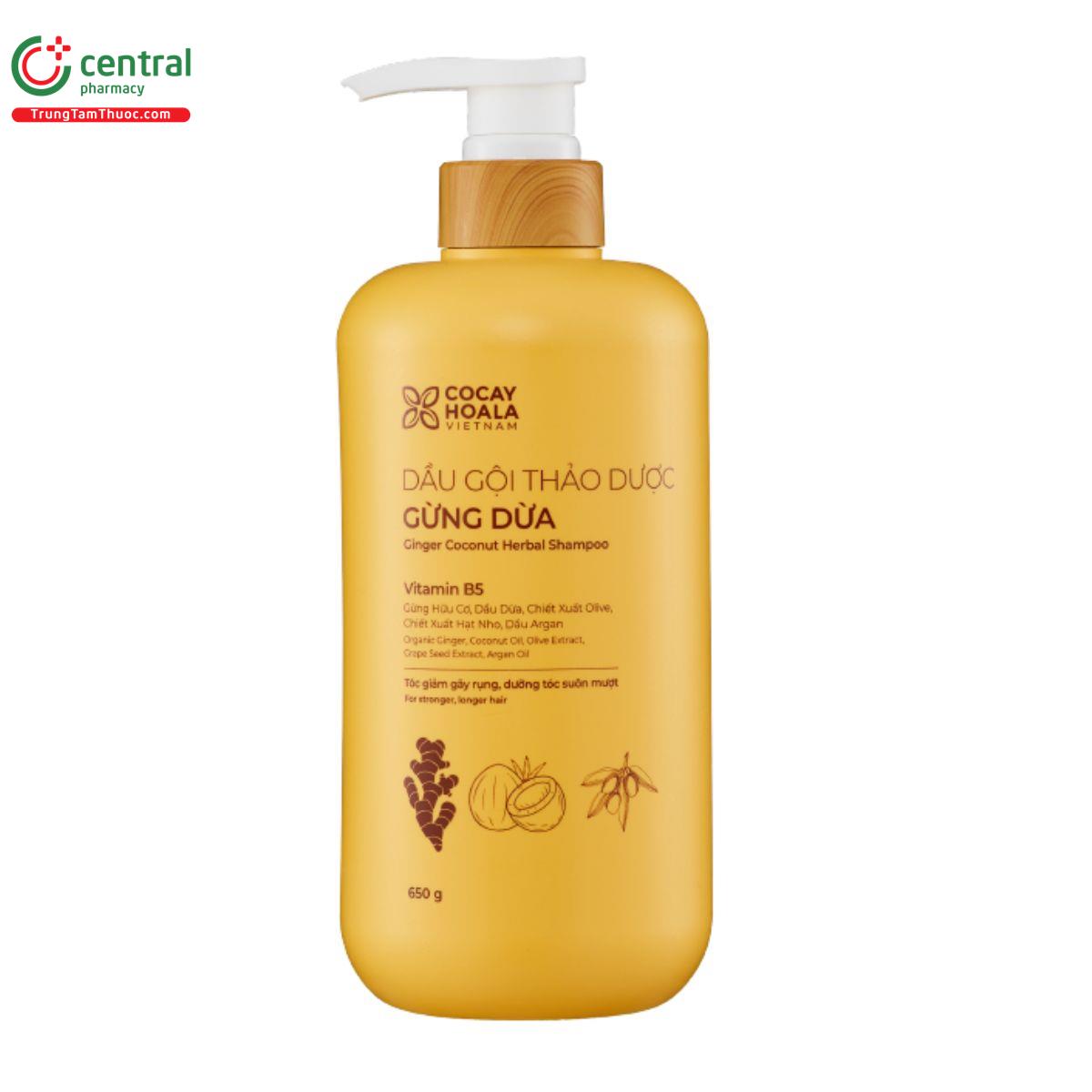 Dầu gội Thảo dược Gừng Dừa Cocay Hoala 650g sạch gàu, giảm tóc gãy rụng