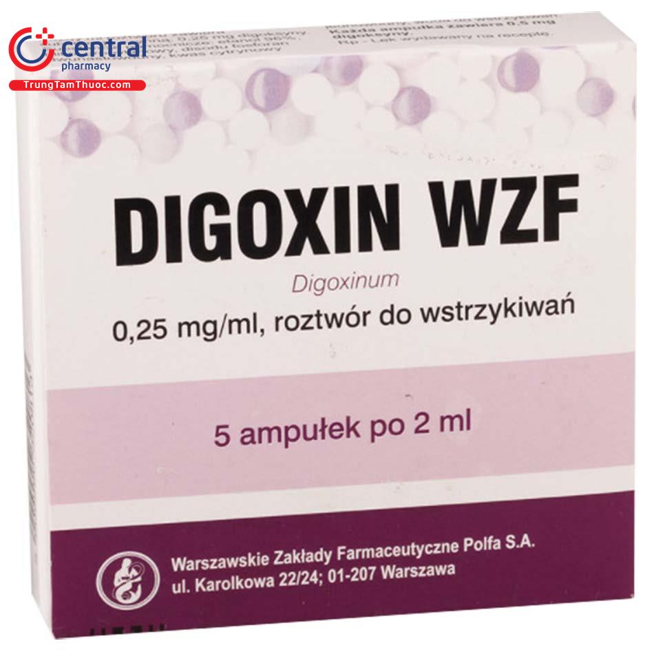 [CHÍNH HÃNG] Thuốc Digoxin WZF 0.25mg/ml - Điều trị rối loạn nhịp tim
