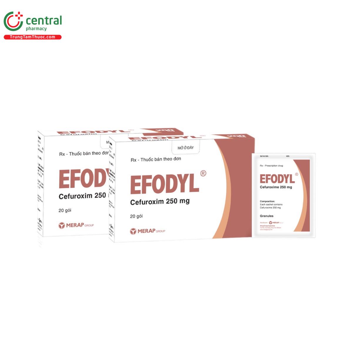 Thuốc Efodyl 250mg (gói): Điều trị nhiễm khuẩn đường hô hấp