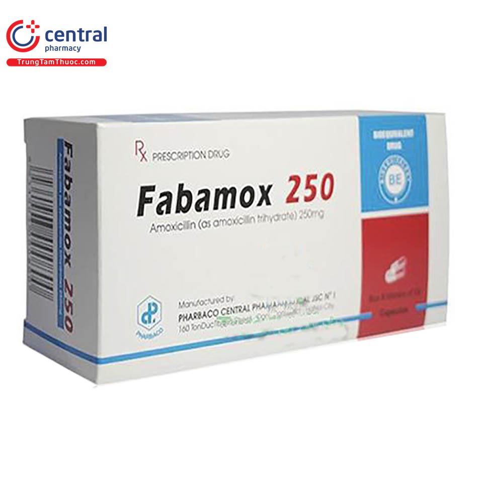 [CHÍNH HÃNG] Thuốc Fabamox 250 (viên) - kháng sinh trị nhiễm khuẩn