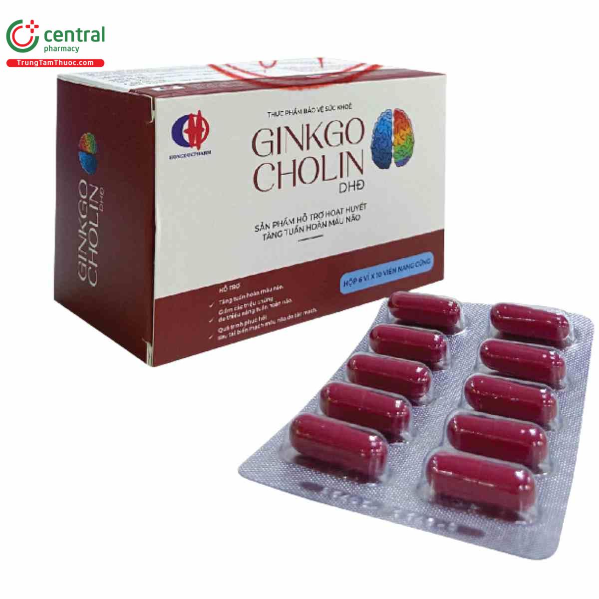 Thuốc Ginkgo Cholin DHĐ hoạt huyết, tăng cường tuần hoàn máu não