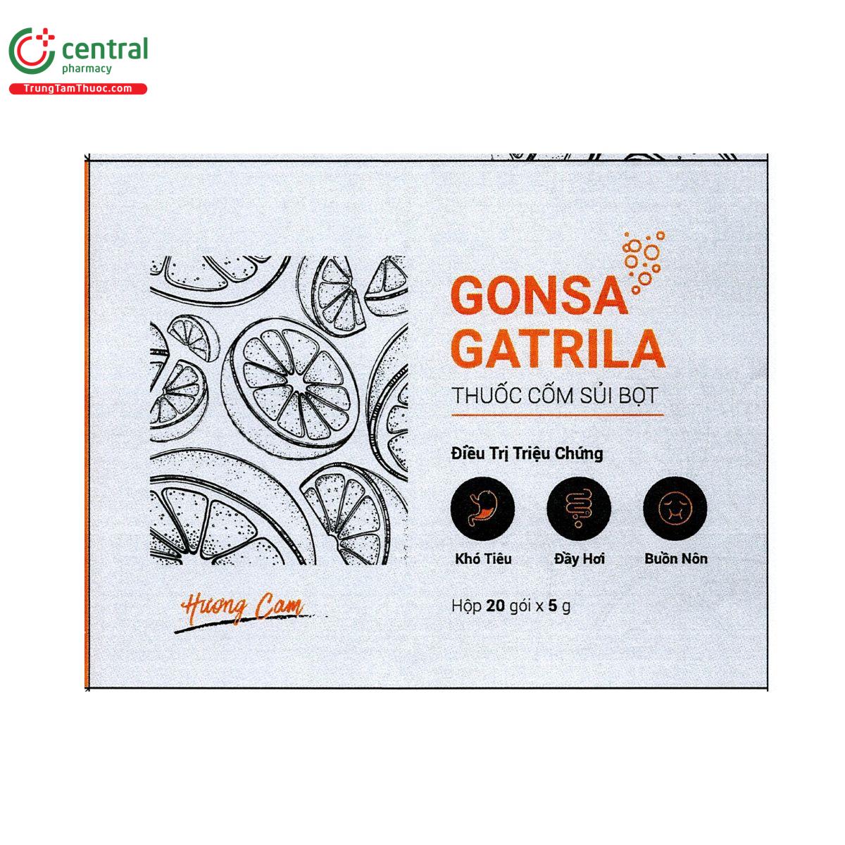 Thuốc Gonsa Gatrila điều trị biểu hiện khó tiêu, đầy hơi kèm buồn nôn