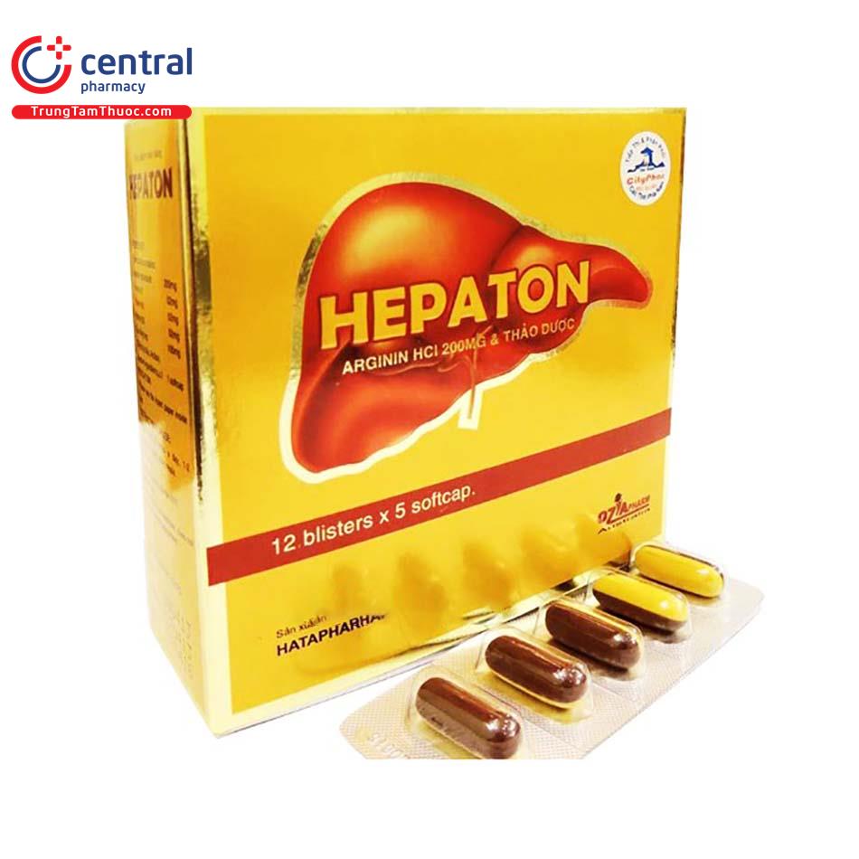 [CHÍNH HÃNG] Thuốc Hepaton - Thuốc điều trị rối loan chức năng gan