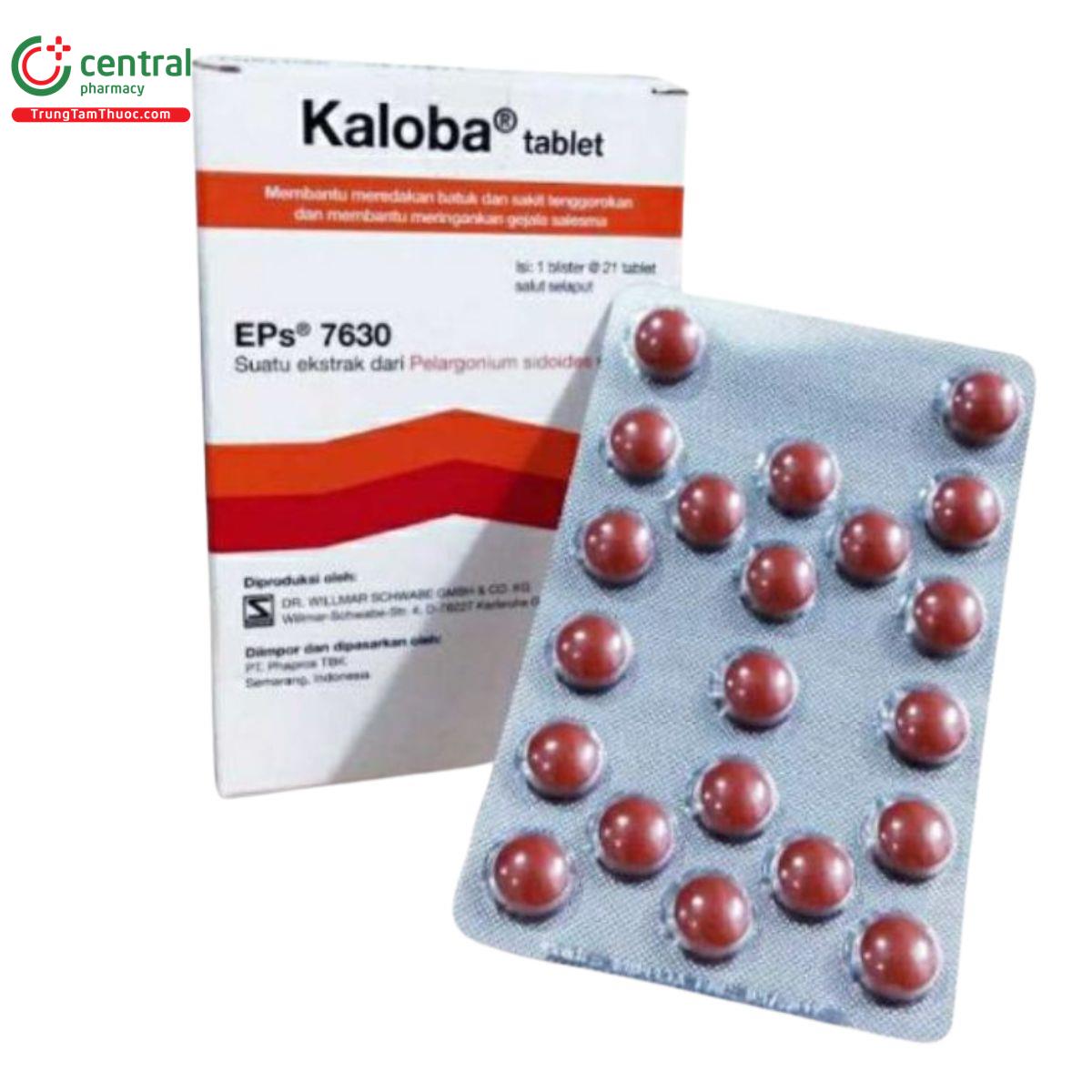 Thuốc Kaloba 20mg chỉ định trong điều trị triệu chứng viêm phế quản cấp