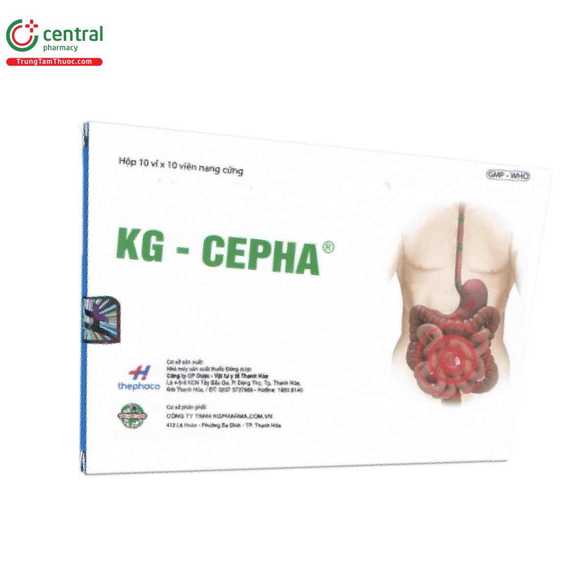 KG-Cepha - trị viêm đại tràng co thắt, rối loạn tiêu hoá mãn tính