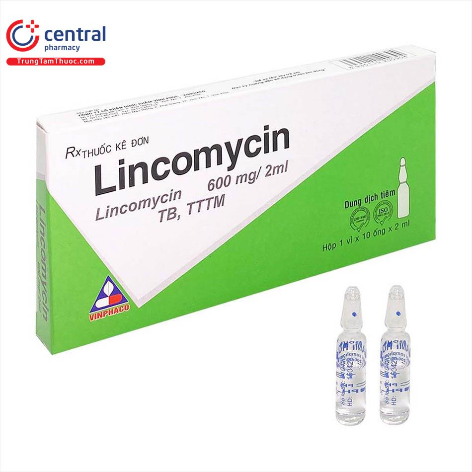 Thuốc Lincomycin 600mg/2ml Vinphaco: tác dụng và cách dùng