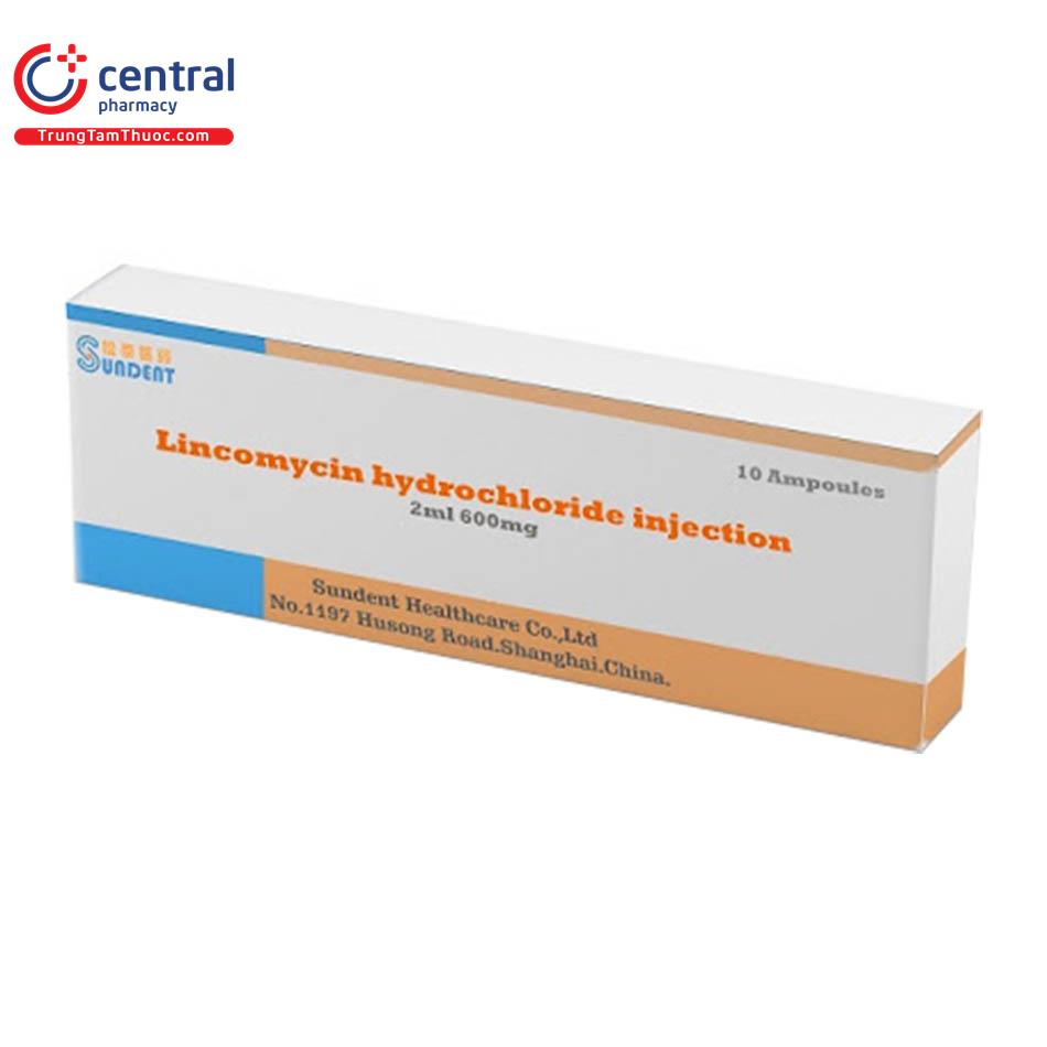 [CHÍNH HÃNG] Thuốc Lincomycin Hydrochloride Injection: tác dụng