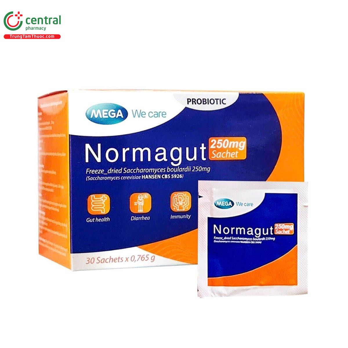 Normagut 250mg Sachet hỗ trợ cải thiện tiêu hóa, giảm khó tiêu, đầy bụng