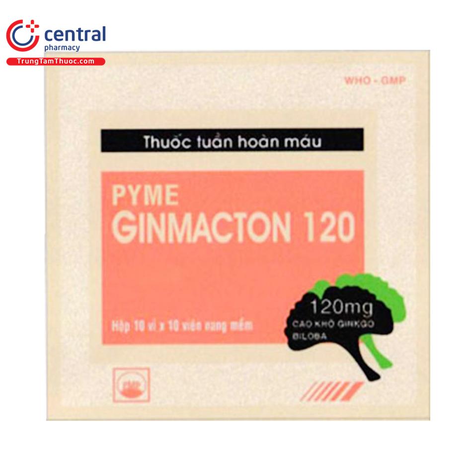 [CHÍNH HÃNG] Thuốc Pyme Ginmacton 120 điều trị triệu chứng bệnh não
