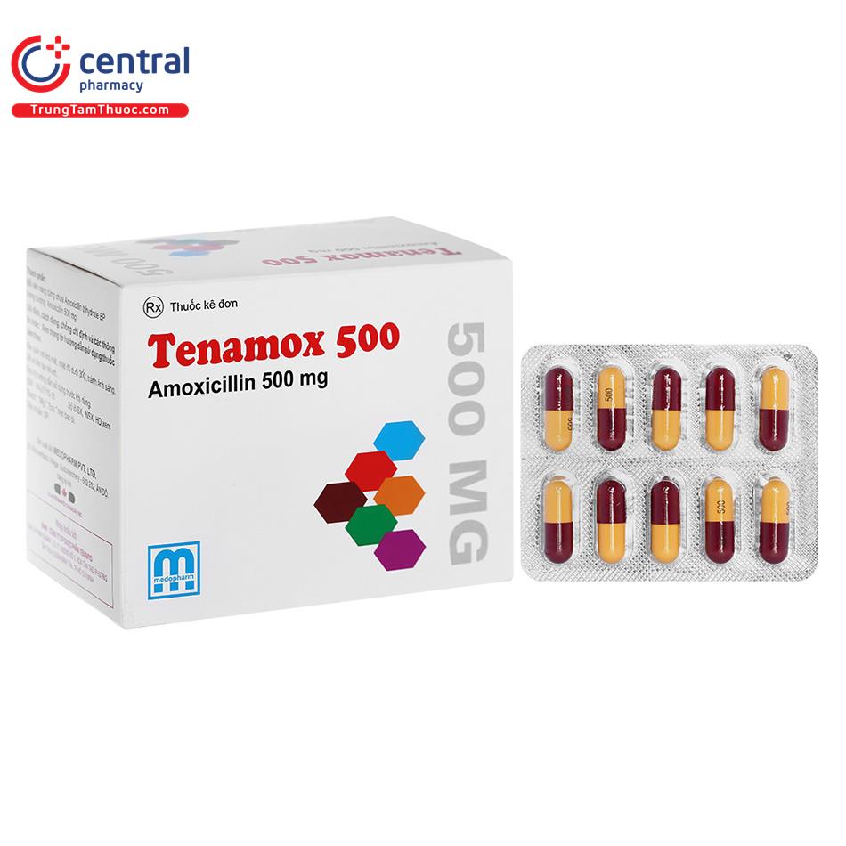 [CHÍNH HÃNG] Thuốc Tenamox 500 điều trị nhiễm trùng đường hô hấp
