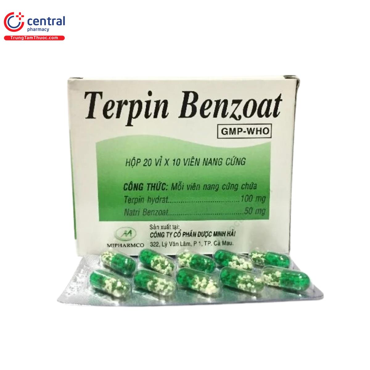 Thuốc Terpin Benzoat Mipharmco - Giải pháp long đờm trong viêm phế quản ...