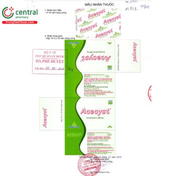Thuốc Acecyst 200mg (viên) - chỉ định long đờm, thông đường hô hấp