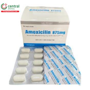 Thuốc Amoxicilin 875mg Hataphar trị nhiễm khuẩn đường hô hấp