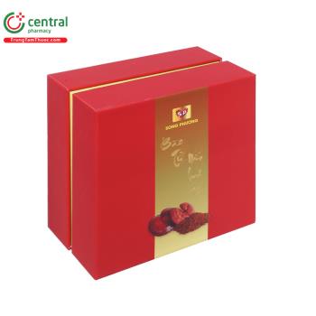 Cách sử dụng Bào Tử Nấm Linh Chi Đỏ Song Phương sao cho hiệu quả tốt