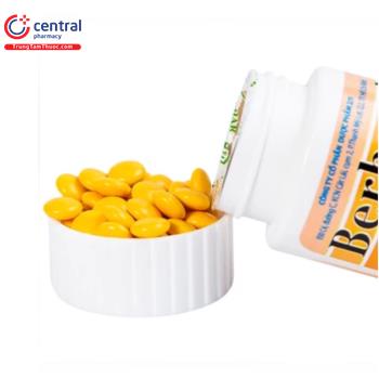 Thuốc Berberal 10mg: Điều trị tình trạng đau bụng tiêu chảy, kiệt lỵ