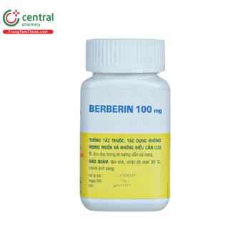 Thuốc Berberin 100mg Domesco điều trị nhiễm khuẩn đường ruột