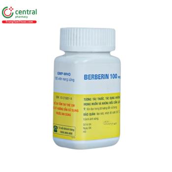 Thuốc Berberin 100mg Domesco điều trị nhiễm khuẩn đường ruột