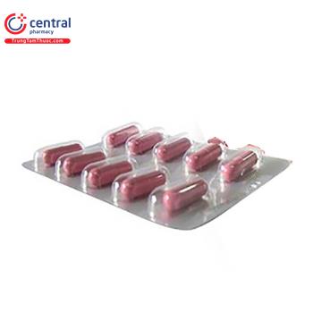 [CHÍNH HÃNG] Thuốc Bilobil Forte 80mg - Tăng cường tuần hoàn máu não