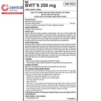 Thuốc Bvit 6 250mg ngừa co giật và điều trị do quá liều Cycloserin