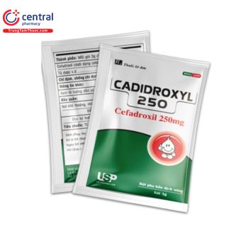 Thuốc Cadidroxyl 250 - Điều trị nhiễm khuẩn mức độ nhẹ và vừa
