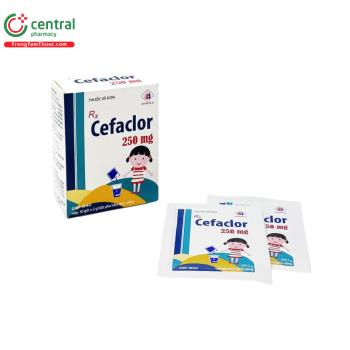 Thuốc Cefaclor 250mg Domesco - Kháng sinh nhóm cephalosporin phổ rộng