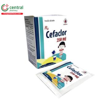 Thuốc Cefaclor 250mg Domesco - Kháng sinh nhóm cephalosporin phổ rộng