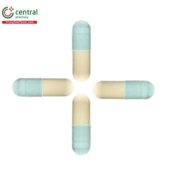 Thuốc Cefaclor STADA 500mg - Kháng sinh cephalosporin diệt khuẩn phổ rộng