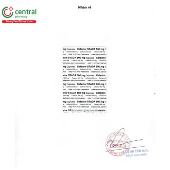 Thuốc Cefaclor STADA 500mg - Kháng sinh cephalosporin diệt khuẩn phổ rộng