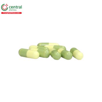 Thuốc Cefadroxil 500mg Domesco (Xanh - Vàng) trị nhiễm khuẩn hô hấp