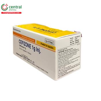 Thuốc Cefizone 1g Inj.: Cách dùng - liều dùng, lưu ý khi dùng
