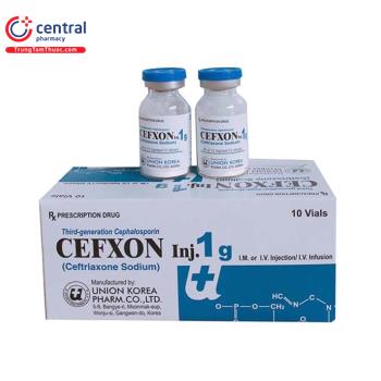 Thuốc Cefxon Inj.1g (Ceftriaxone 1g): Tác dụng, Chỉ định, Liều dùng