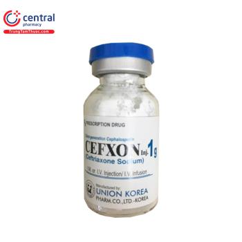 Thuốc Cefxon Inj.1g (Ceftriaxone 1g): Tác dụng, Chỉ định, Liều dùng