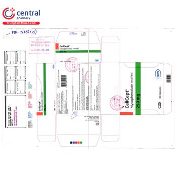 [CHÍNH HÃNG] Thuốc CellCept 250mg - Dự phòng thải ghép cho ghép thận