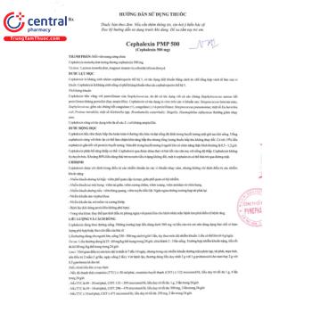 Thuốc Cephalexin PMP 500 - Điều trị nhiễm khuẩn đường hô hấp hiệu quả