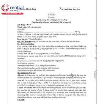 Thuốc Cexil 300mg- Thuốc điều trị nhiễm khuẩn hiệu quả