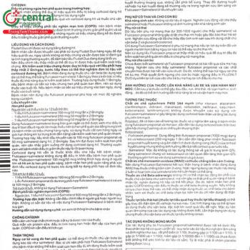 Thuốc Fludalt Duo 250mcg/50mcg - Điều trị hen phế quản