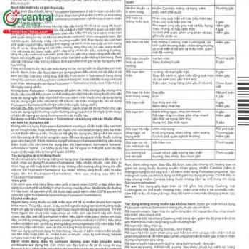 Thuốc Fludalt Duo 250mcg/50mcg - Điều trị hen phế quản