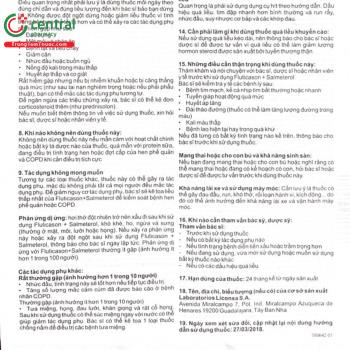 Thuốc Fludalt Duo 250mcg/50mcg - Điều trị hen phế quản